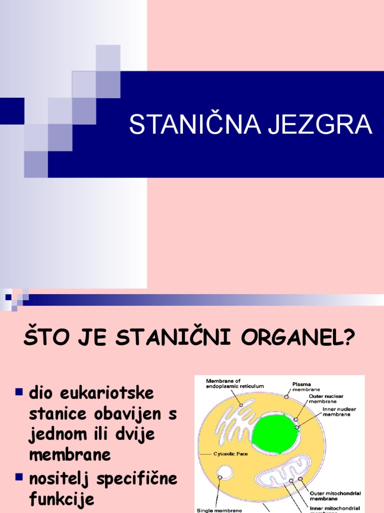 Stanicna Jezgra | PDF
