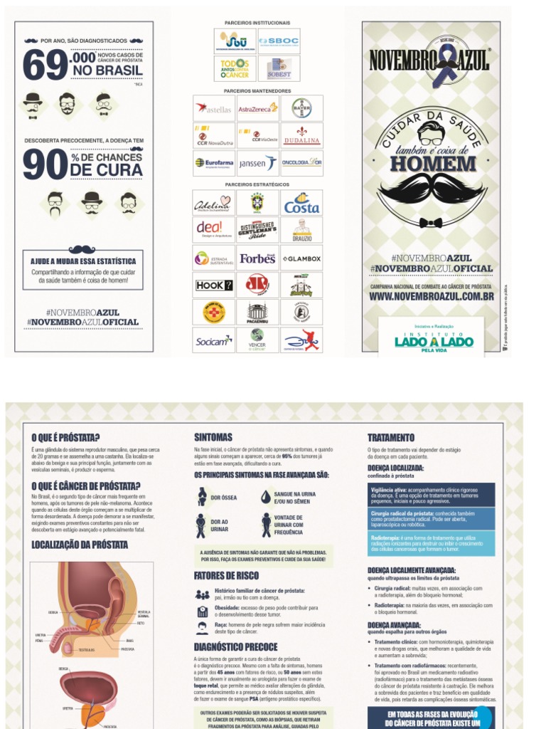 Folheto Institucional | PDF