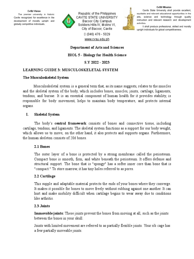 Musculoskeletal System Learning Guide | PDF | Human Musculoskeletal ...