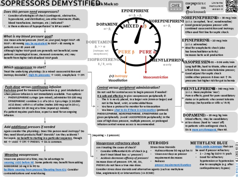 ICU One Pager Vasopressors.1.2 | PDF | Shock (Circulatory ...