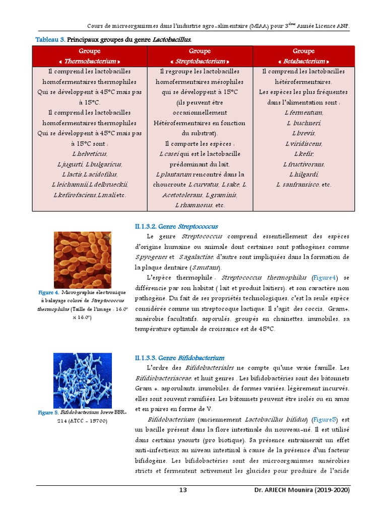 1 (2) - Copie | PDF | Pseudomonas | Escherichia coli