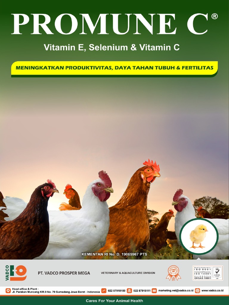 PROMUNE C - Brosur - A4 | PDF