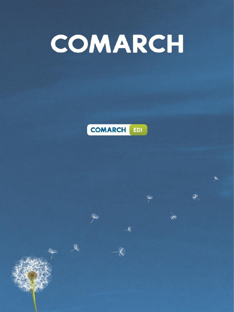 EDI Connector Premium - UA | PDF