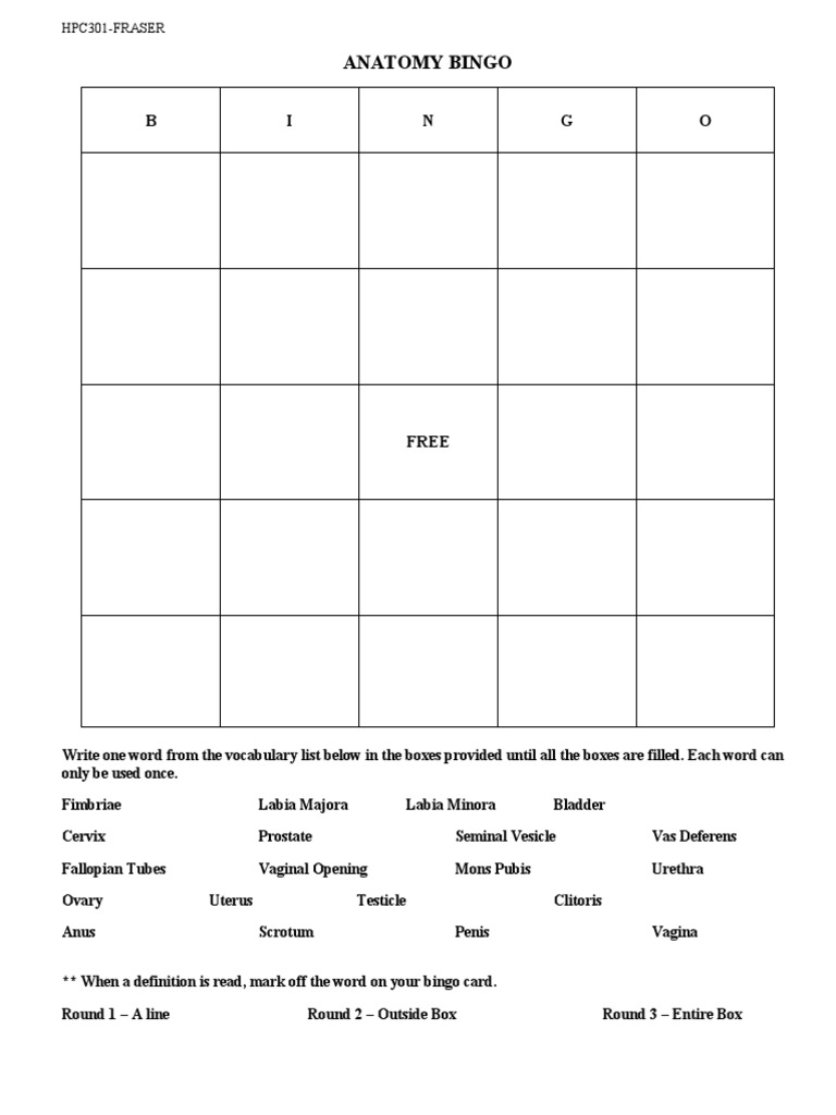 Anatomy Bingo | PDF