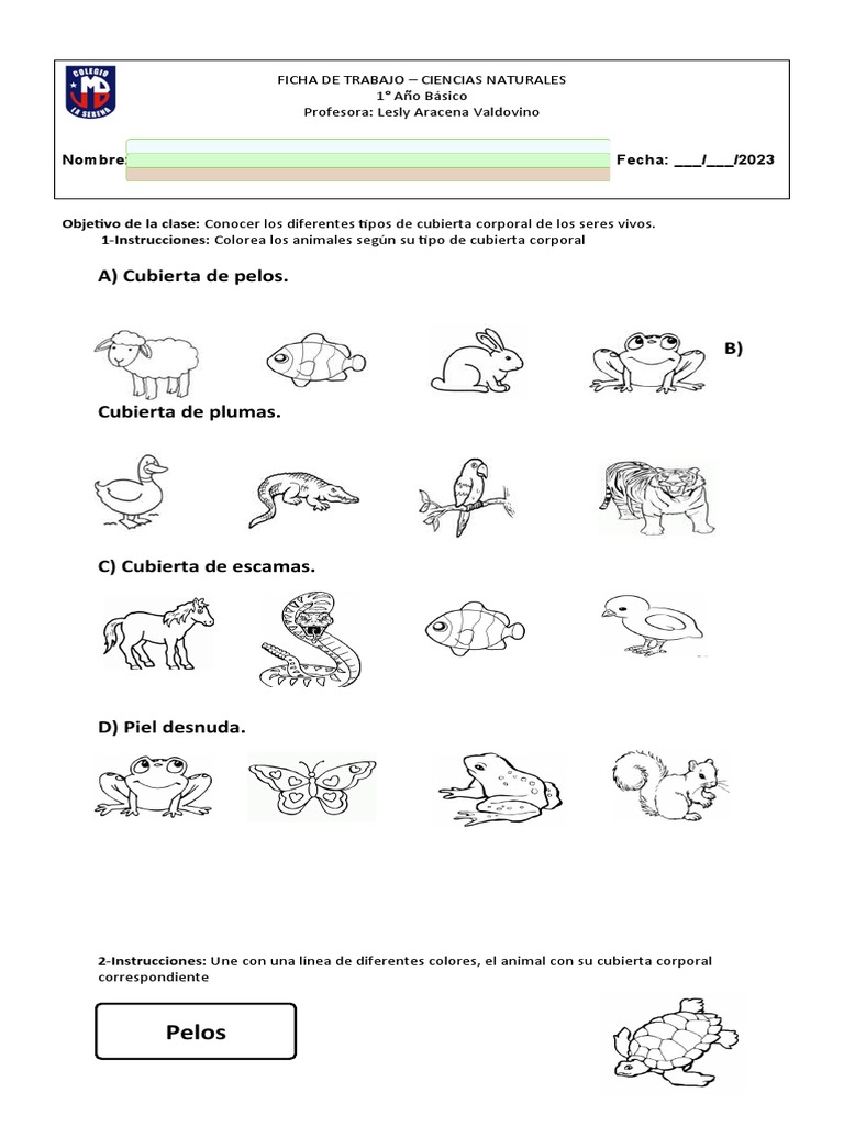 CIENCIAS Guía Cubierta Corporal | PDF | Filosofía | Artes del Lenguaje ...