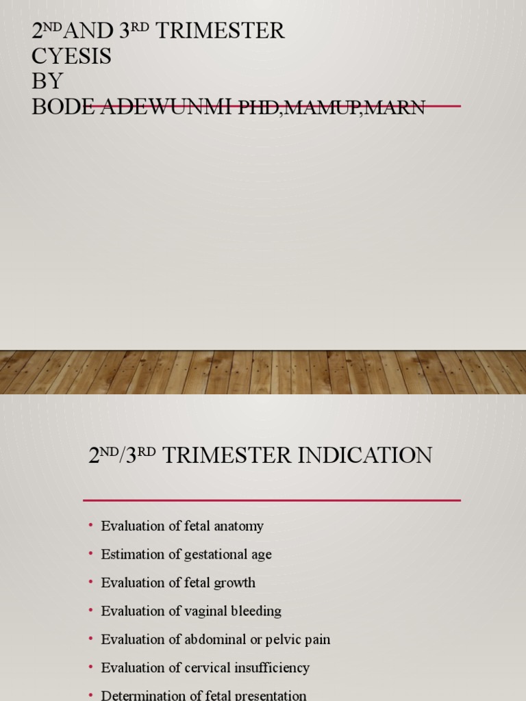 2ND and 3RD Trimester. | PDF | Abdomen | Fetus
