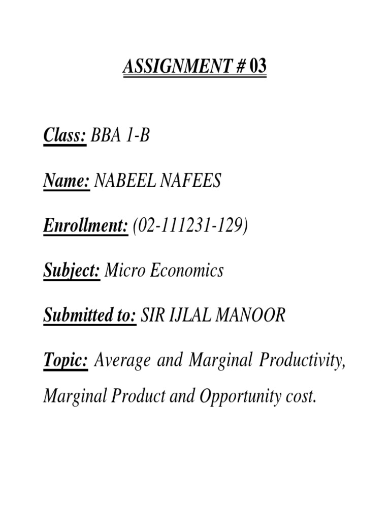 Micro Economics Assignment No 03 | PDF | Cost | Opportunity Cost