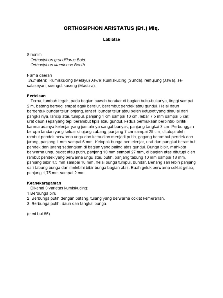 13.kumis Kucing | PDF