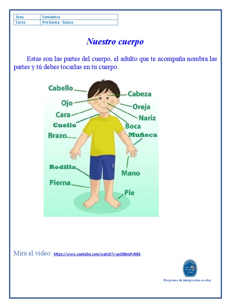 Guía Partes Del Cuerpo Pre Básica | PDF