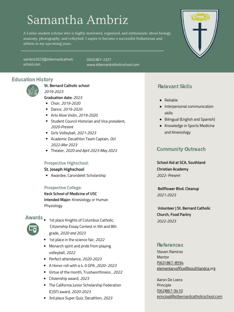 Blue Light Blue Color Blocks Physician CV | PDF