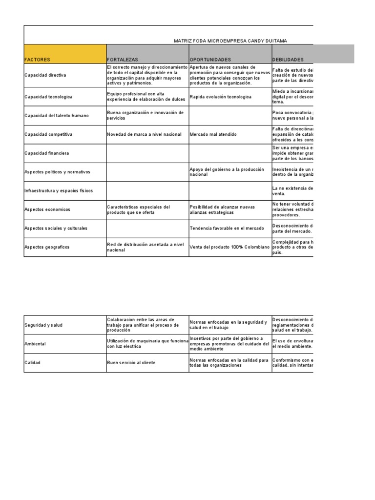 Electiva L HSEQ Matriz DOFA | PDF | Marketing | Mercado (economía)