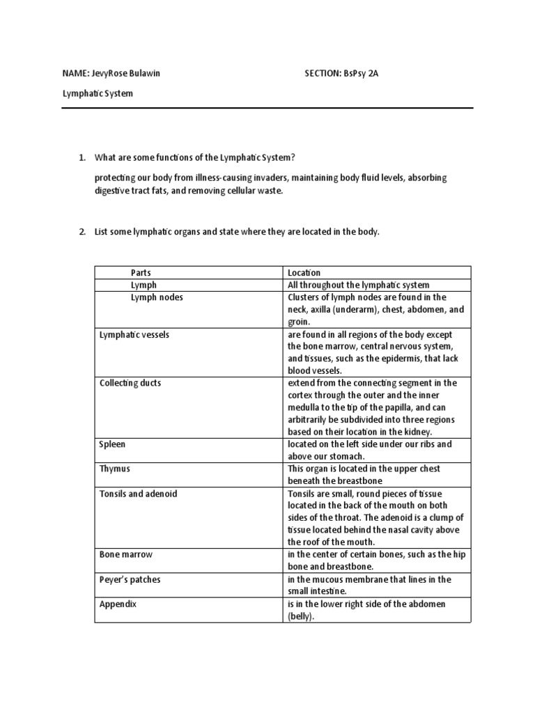Lab Worksheet 4 1 Answers | PDF | Lymph | Lymphatic System