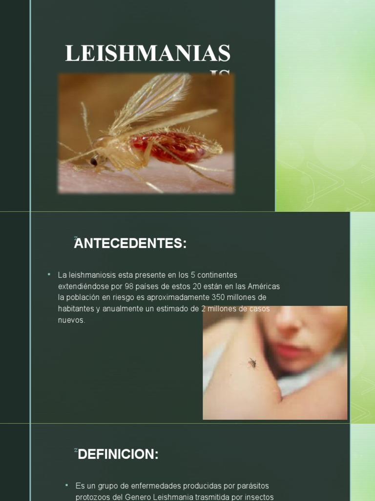 LEISHMANIASIS | PDF | Microbiología | Especialidades Medicas