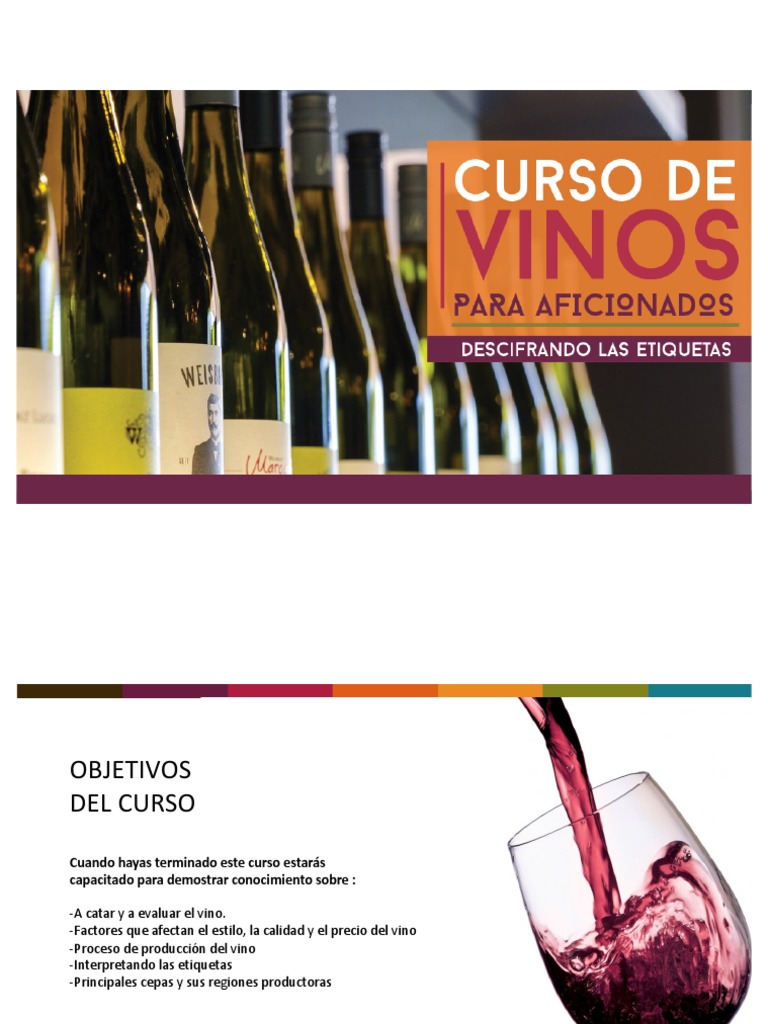 Curso Vinos Cepas y Regiones | PDF
