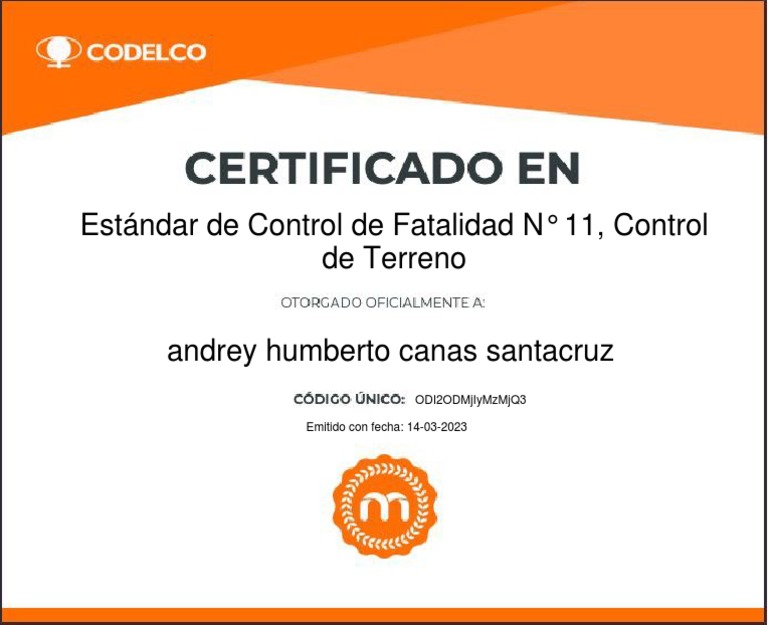 Estándar de Control de Fatalidad #11, Control Andrey Cañas | PDF