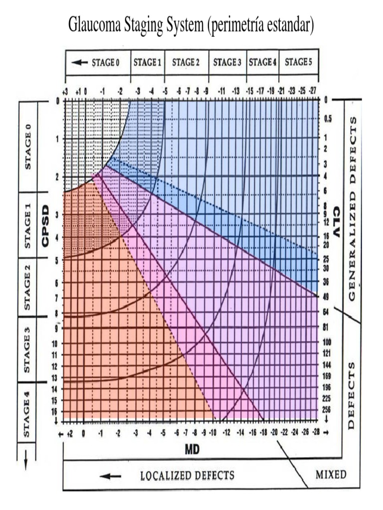 Glaucoma Staging System Perimetria Estandar | PDF