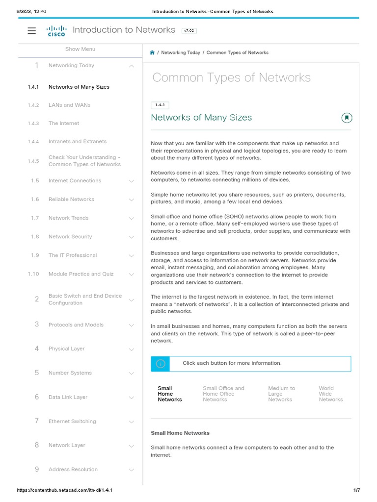 Introduction To Networks - Common Types of Networks | PDF | Computer Network | Local Area Network