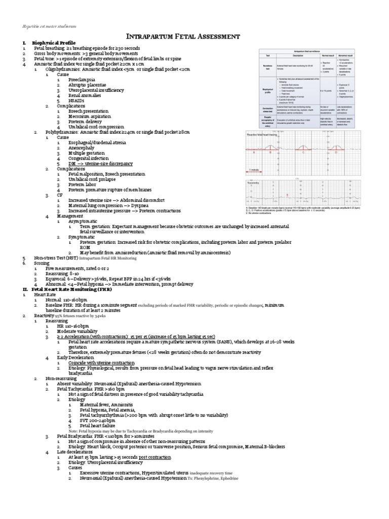 Intrapartum Fetal Assessment Guidelines | PDF | Heart Rate | Preterm Birth
