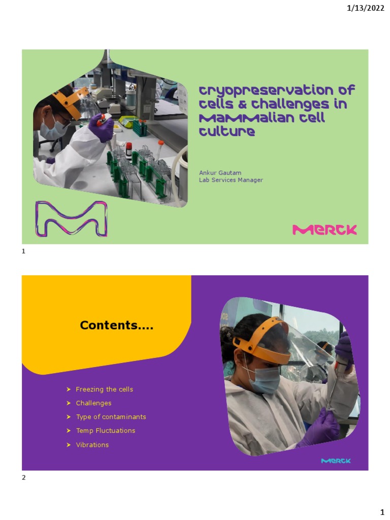 Lecture 4 Pdf