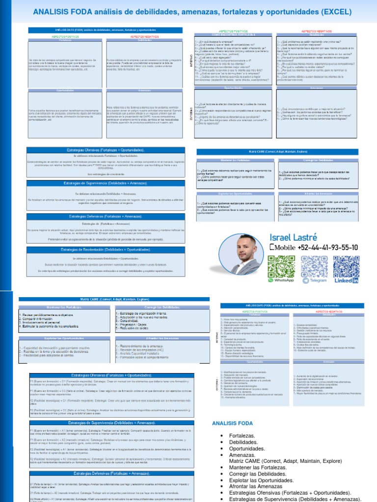 Análisis FODA y Estrategias CAME | PDF