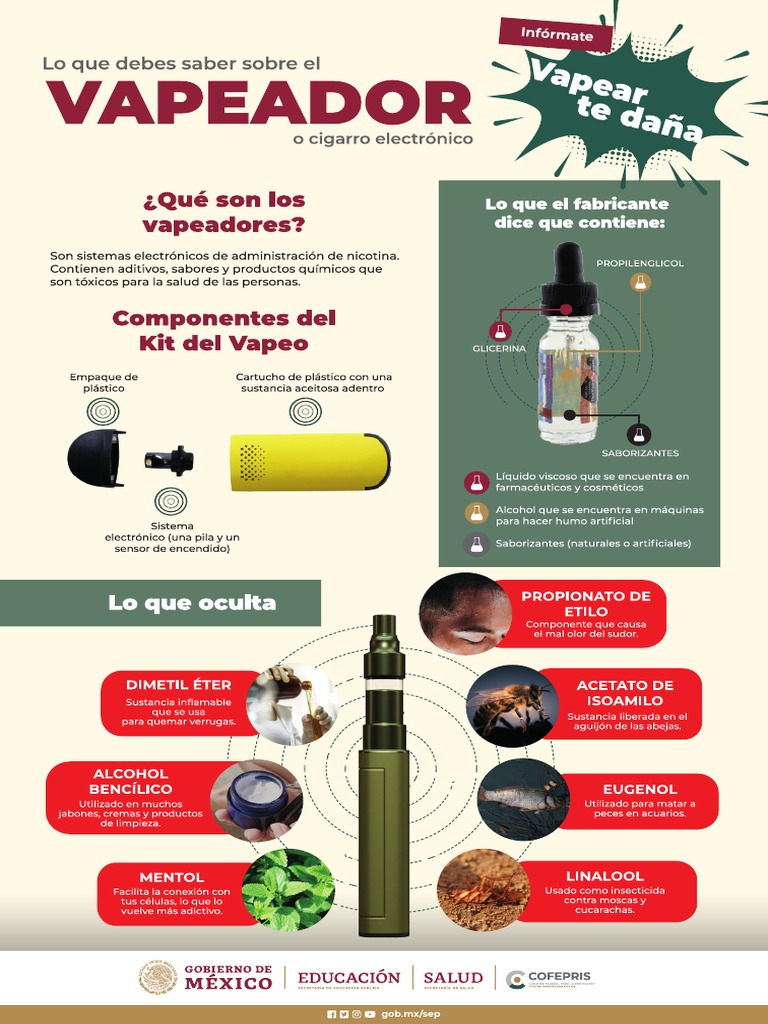 Infografia 1 - Que Son Los Vapeadores | PDF