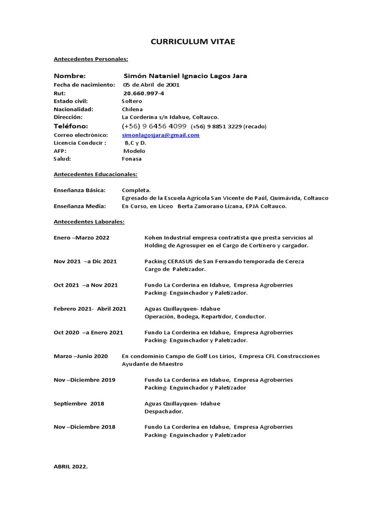 Curriculum Vitae Simon 2022 | PDF