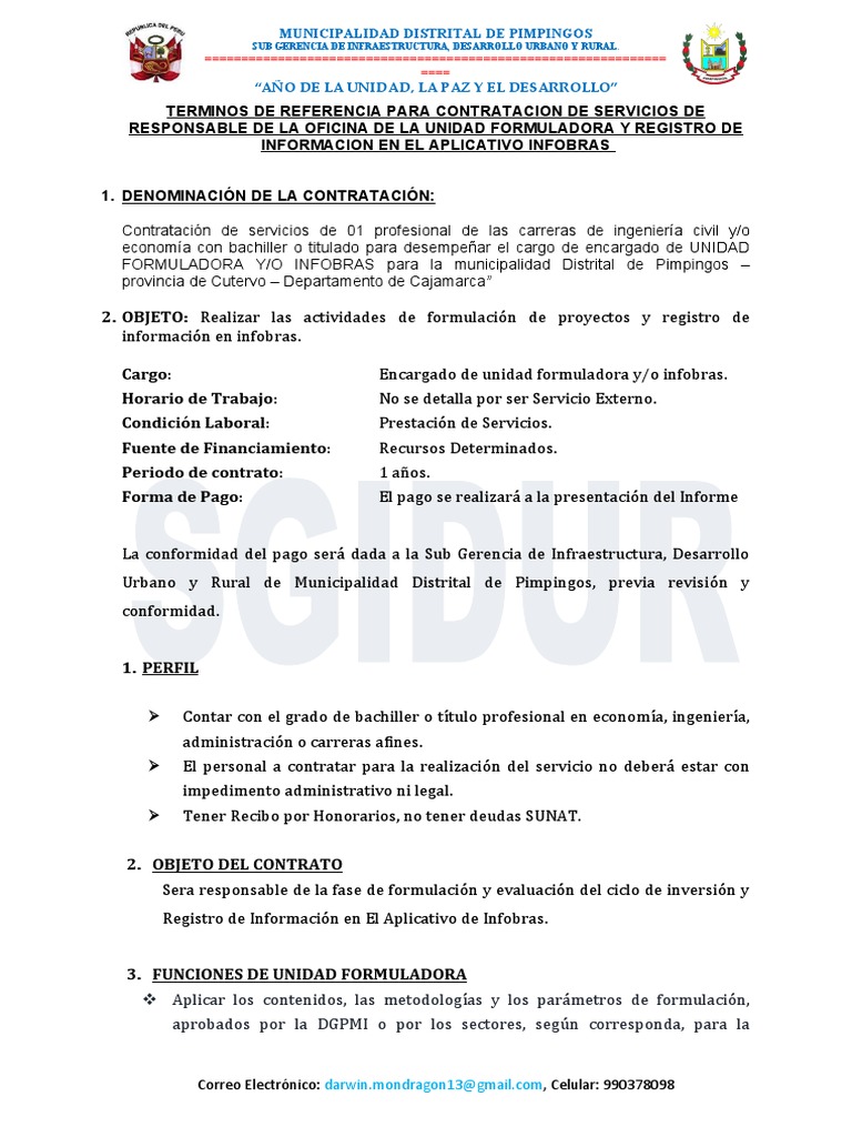Inf. 001.-TDR. Profesional para Uf y Infobras | PDF | Economias