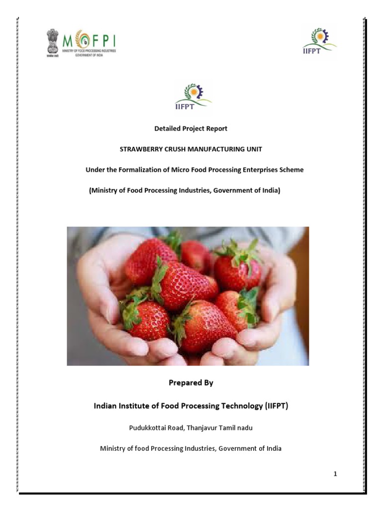 STRAWBERRY CRUSH MANUFACTURING UNIT DPR by IIFPT | PDF