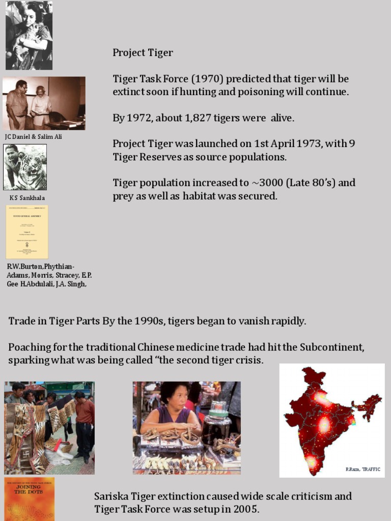 Project Tiger: Conservation Efforts and Impact | PDF | Tiger ...