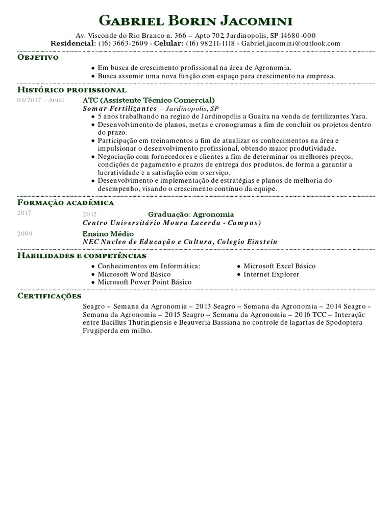 GabrielBorin Jacomini Currículo | PDF