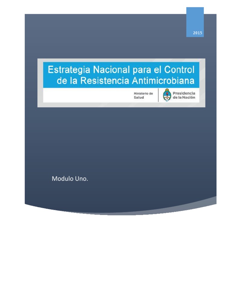 Modulo Uno Parte A RAM - 2015 - VE | PDF