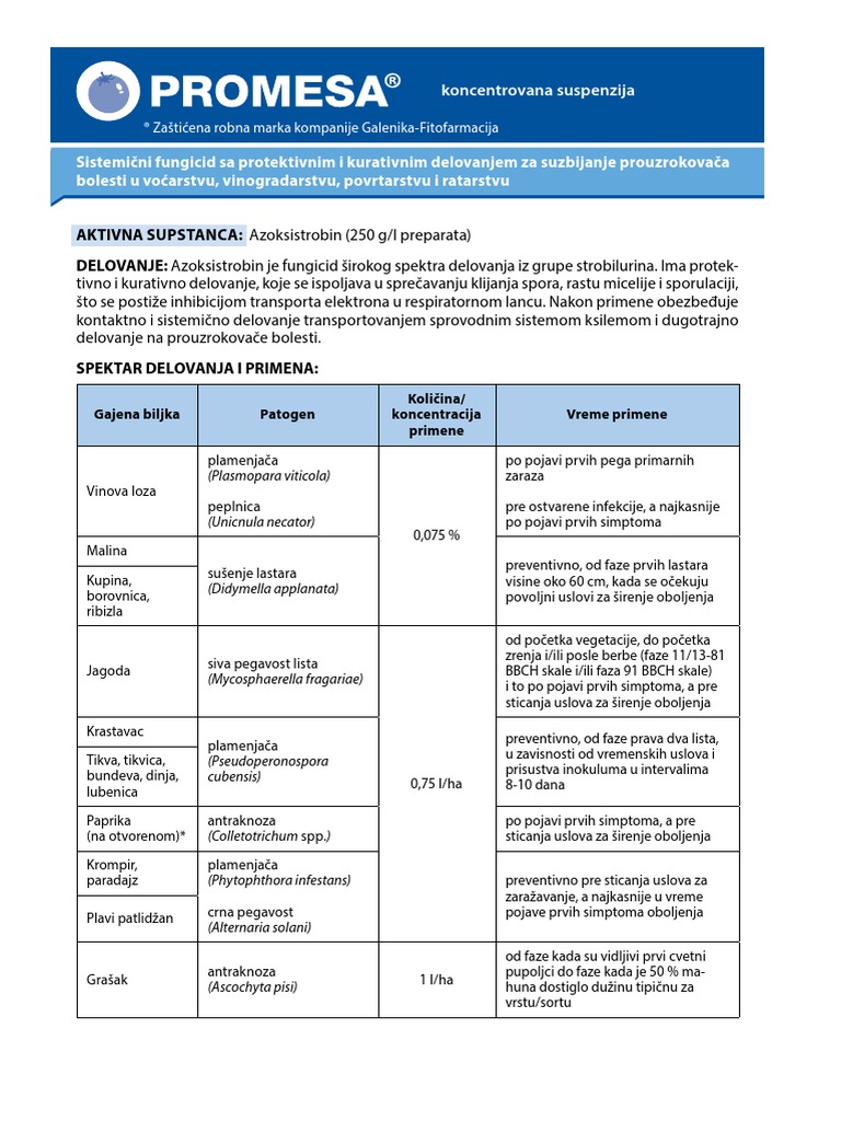 Detalji Promesa | PDF