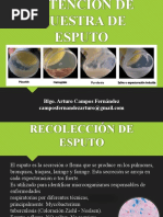 Baciloscopia BK Esputo | PDF | Tos | Laboratorios