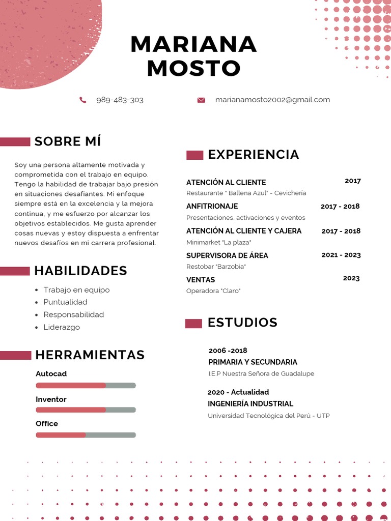Curriculum Profesional Creativo Morado | PDF