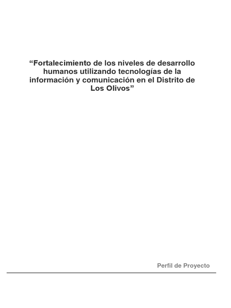 PERFIL CENTRO TELEMÁTICA Distrito Los Olivos Lima Peru | PDF | La ...