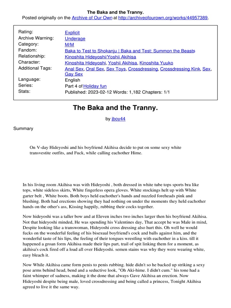 The Baka and The Tranny | PDF