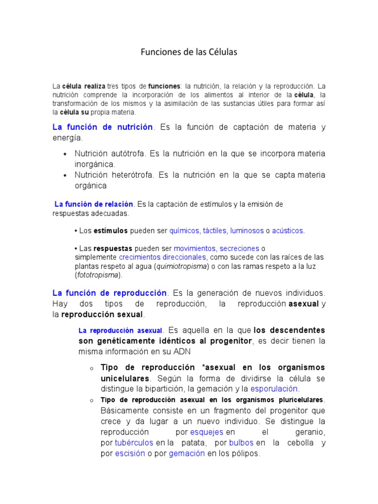 Funciones de Las Células | PDF
