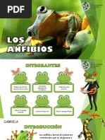 Triptico Anfibios | PDF | Anfibio | Zoología