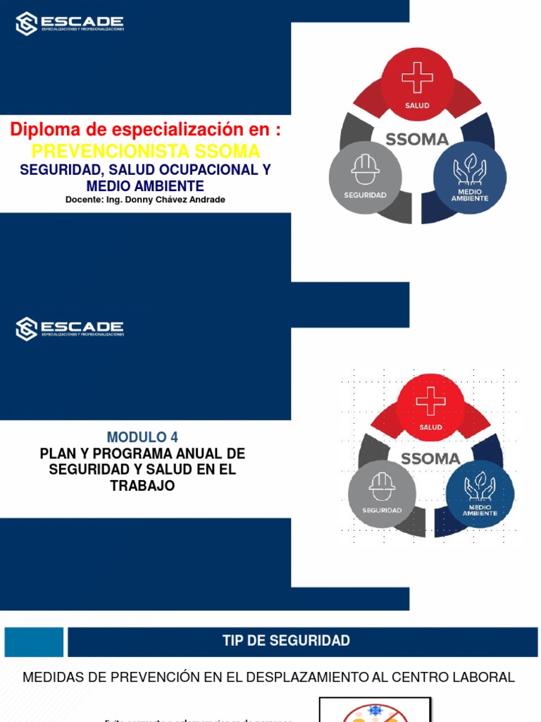 Plan y Cronograma de SST | Descargar gratis PDF | Seguridad y salud ...