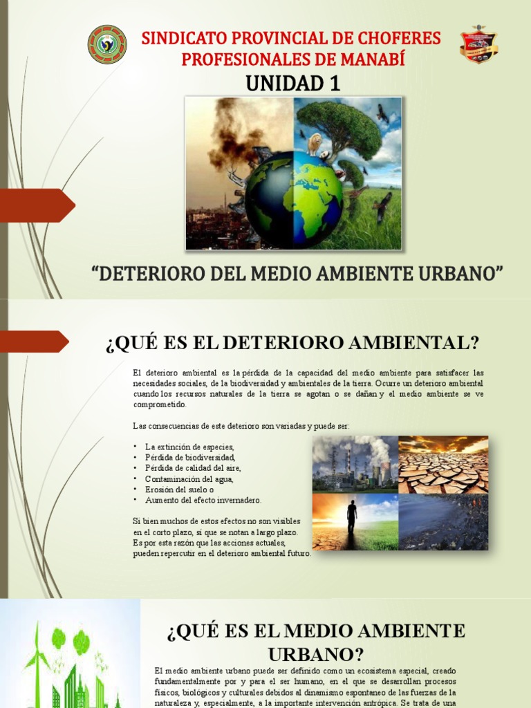 El Medio Ambiente Urbano | PDF | Contaminación | Entorno natural