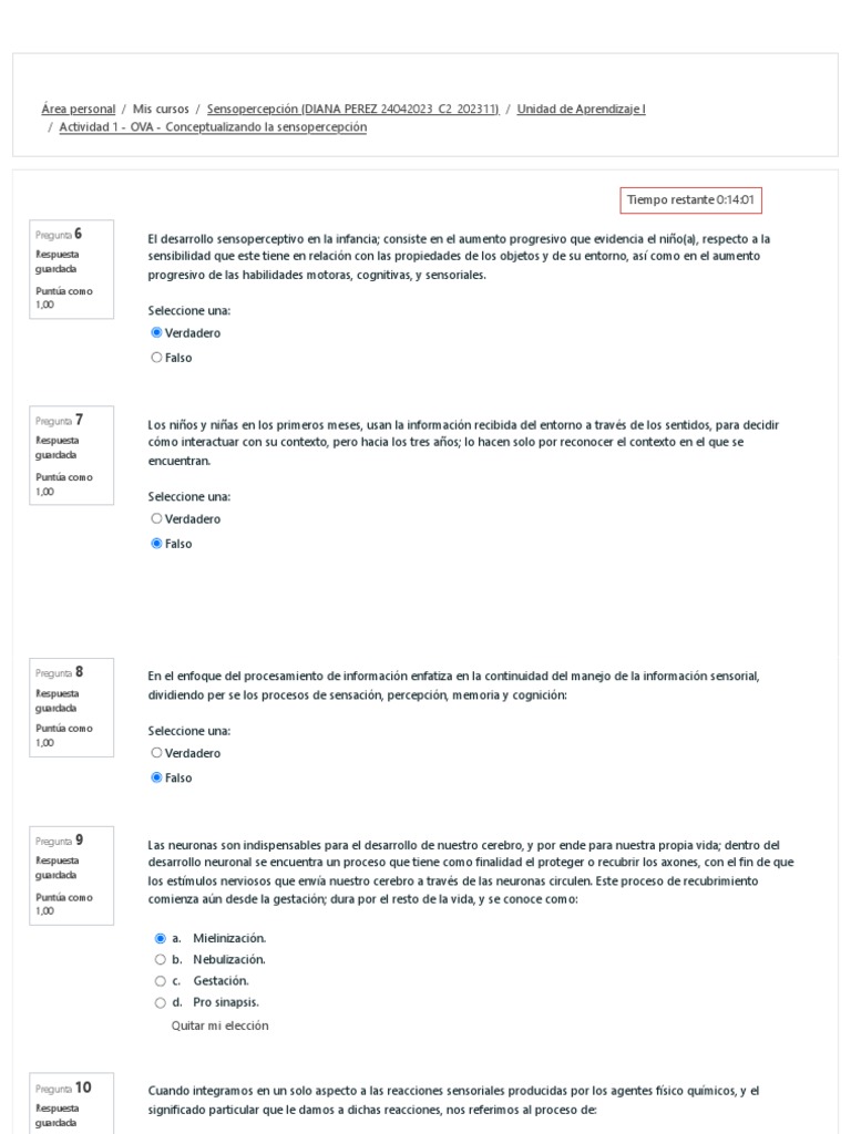 Actividad 1 - OVA - Conceptualizando La Sensopercepción (Página 2 de 2) | PDF | Percepción | Neurona