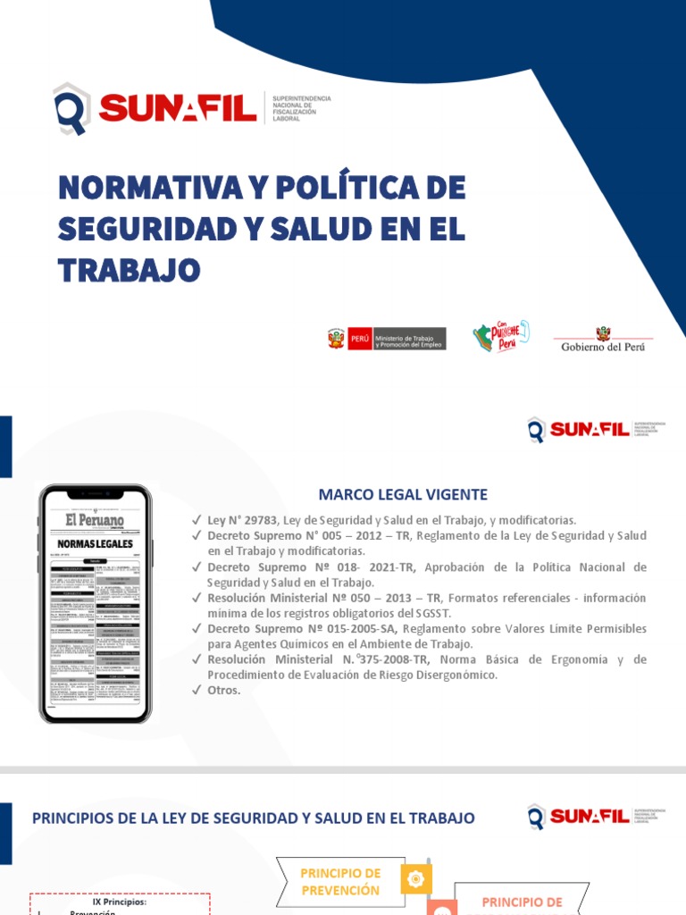 Normativa y Política de SST - Essalud | PDF | Valores | Seguridad y salud ocupacional