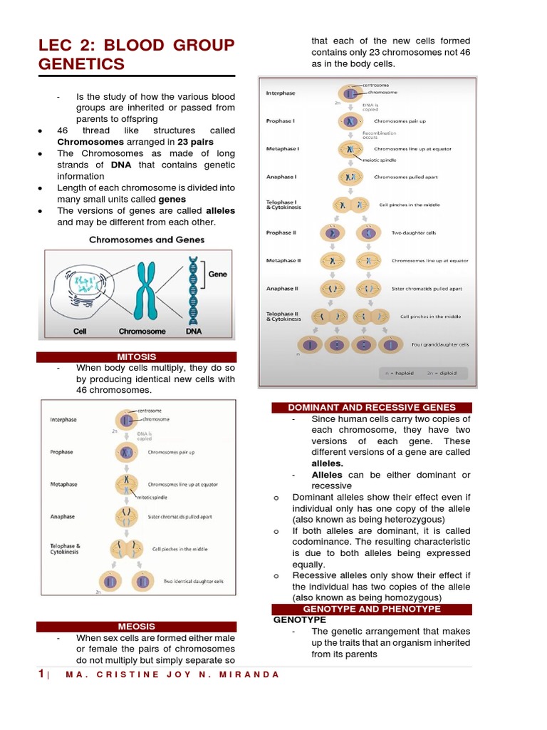 Lec 2-Blood Group Genetics | PDF