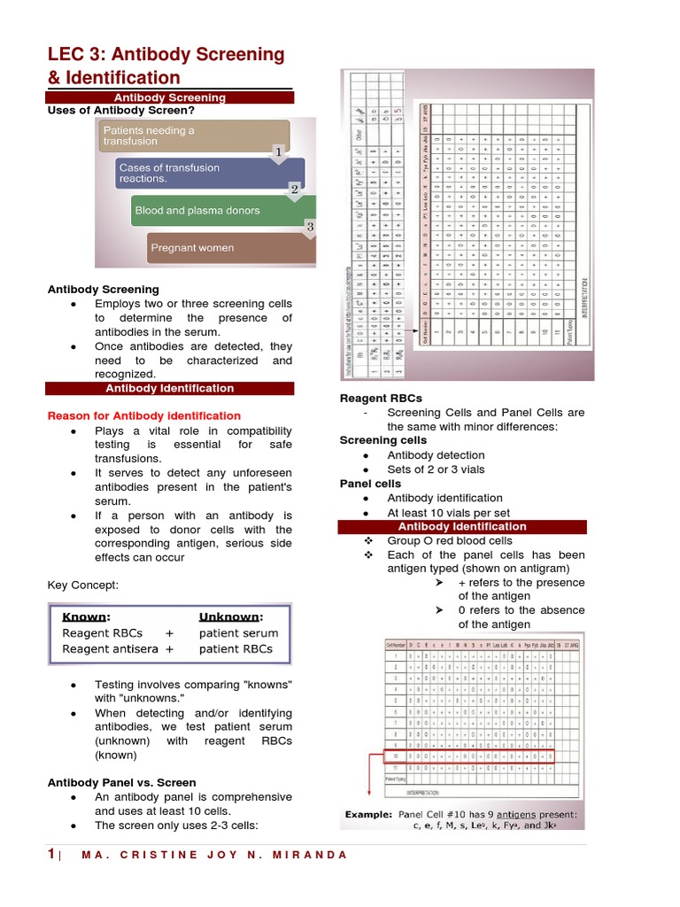 Antibody Screening and Identification Guide | PDF | Immunology ...