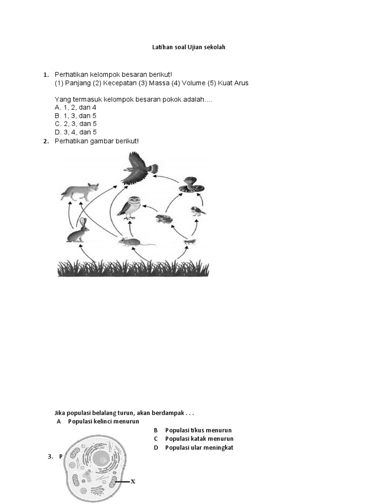 Latihan Soal Ujian Sekolah IPA Kelas 9 | PDF