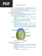 Estructura del Cráneo: Endobase y Exobase | PDF | Otorrinolaringología ...