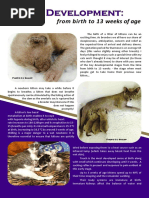 JAX Mice Pup Appearance by Age: Balb/Cj | PDF
