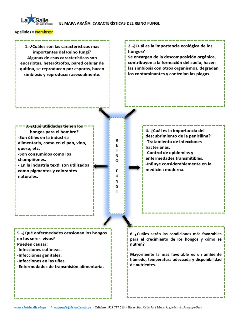 EL MAPA ARAÑA - Sebastian Acuña | PDF | Algas | Protozoos