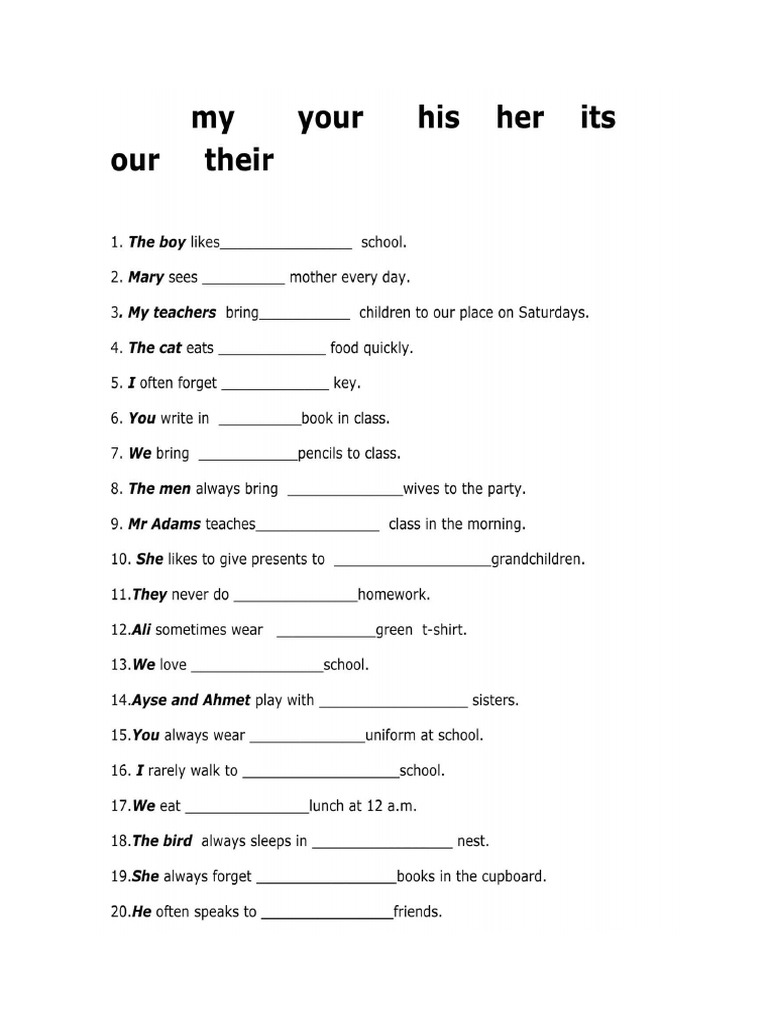 Possessive Pronoun Worksheet | PDF