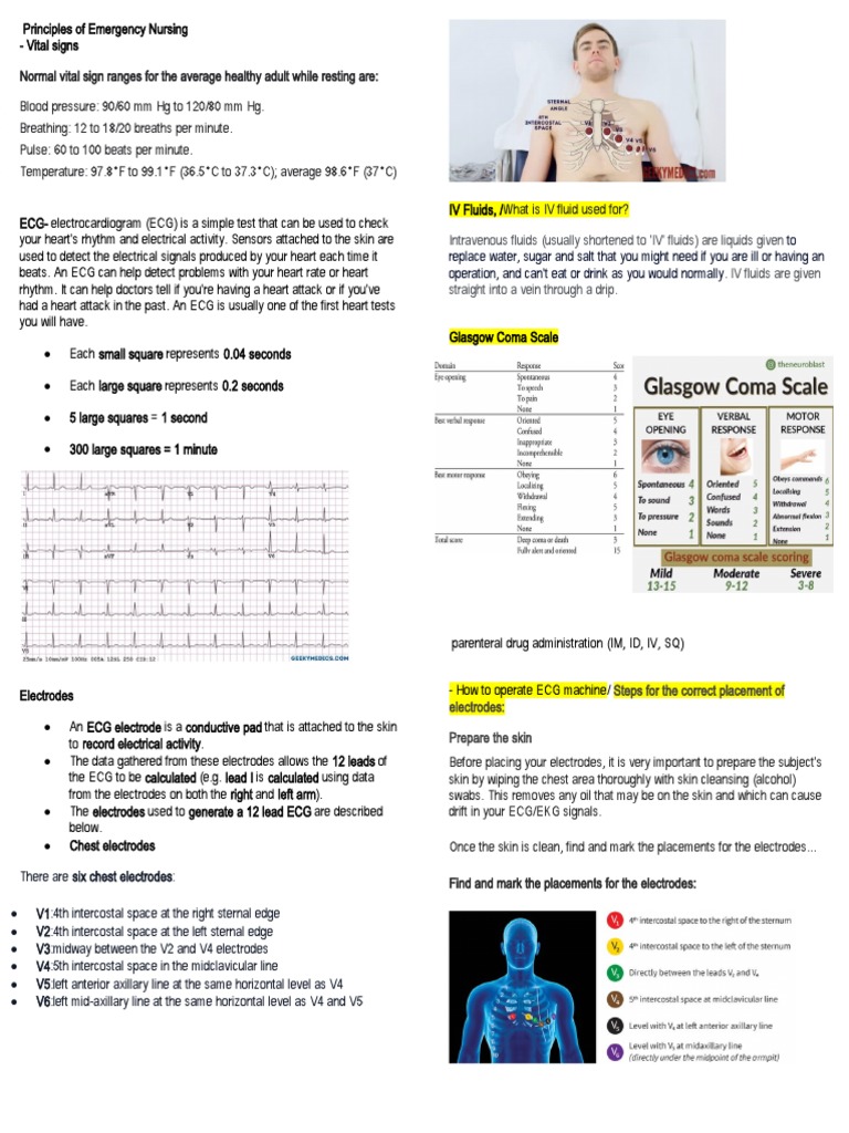 Emergency Nursing Essentials Guide | PDF | Cardiopulmonary ...